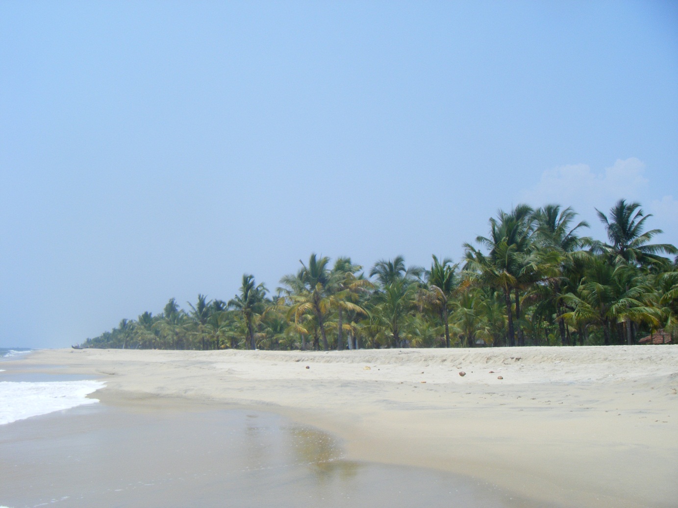 Daily Delhi: Kerala - Marari