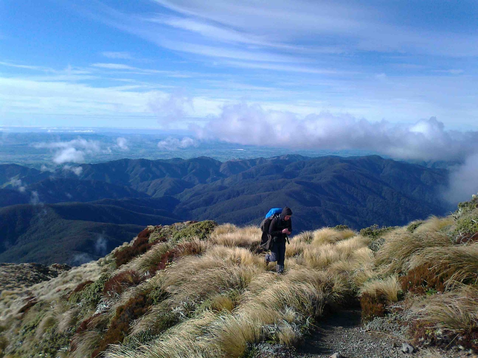 Our New Zealand Adventure: TARARUA RANGES TRAMPING TRIP: MT HOLDSWORTH ...