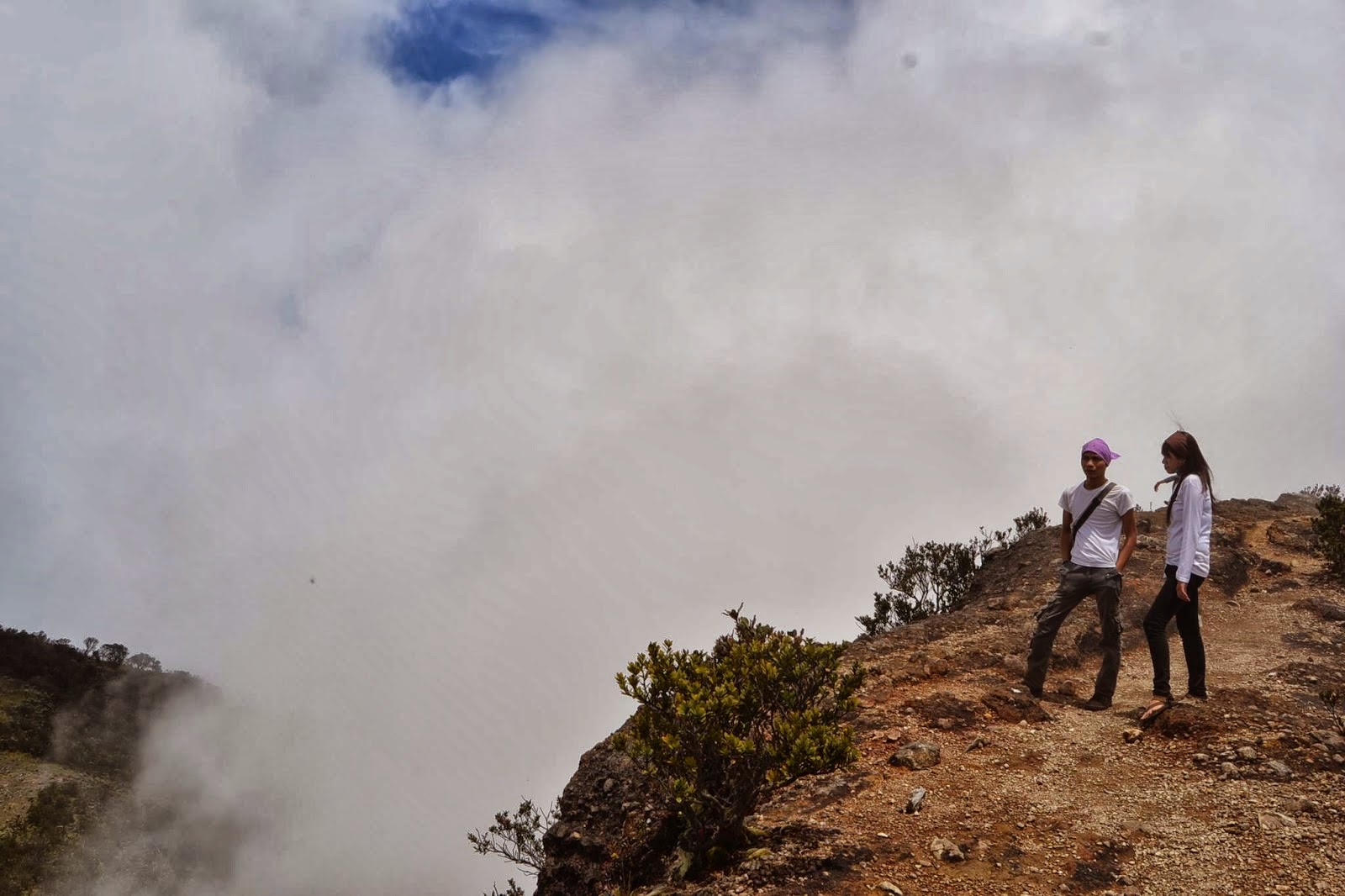 Ombak Pantai Selatan Dari Puncak Lawu - PLH Indonesia