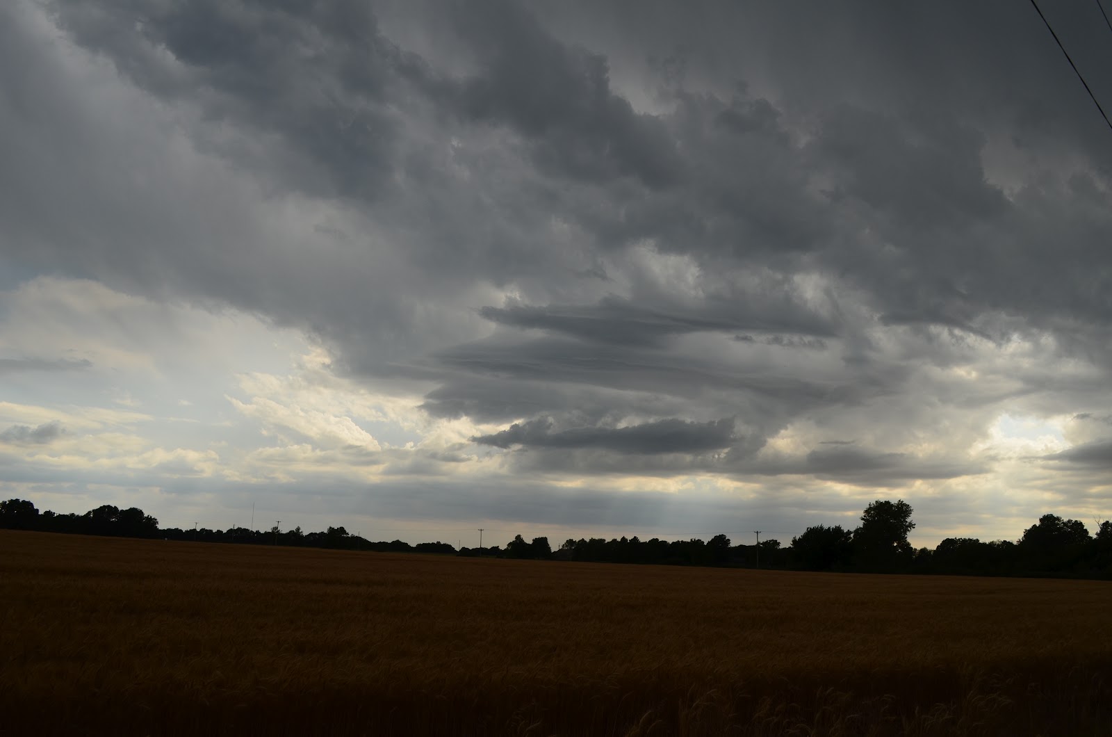 Rumination of Thunder: Severe thunderstorm warnings for most of the ...