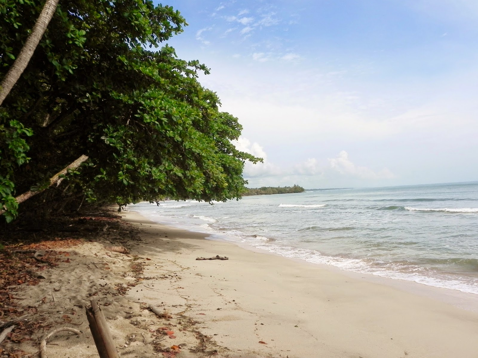 CAHUITA | Mis viajes