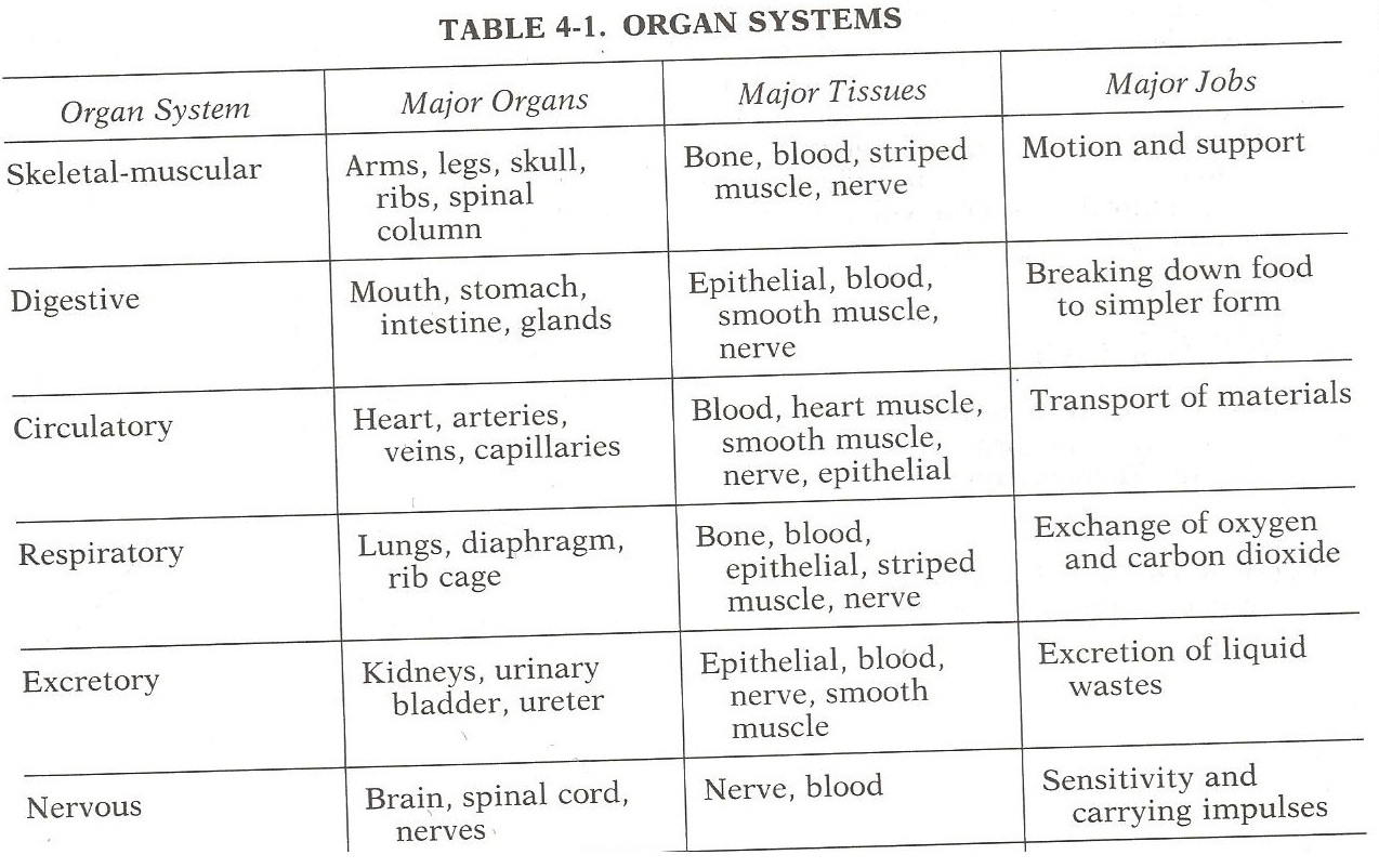 Gr.7 Life Science: Tissues & Organ Systems Table