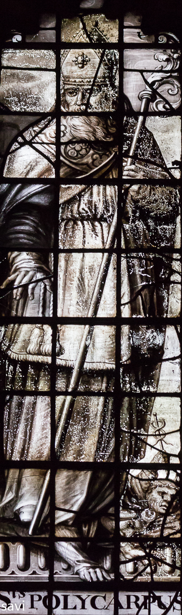 sacerdos viennensis: Das Martyrium des Polykarp von Smyrna