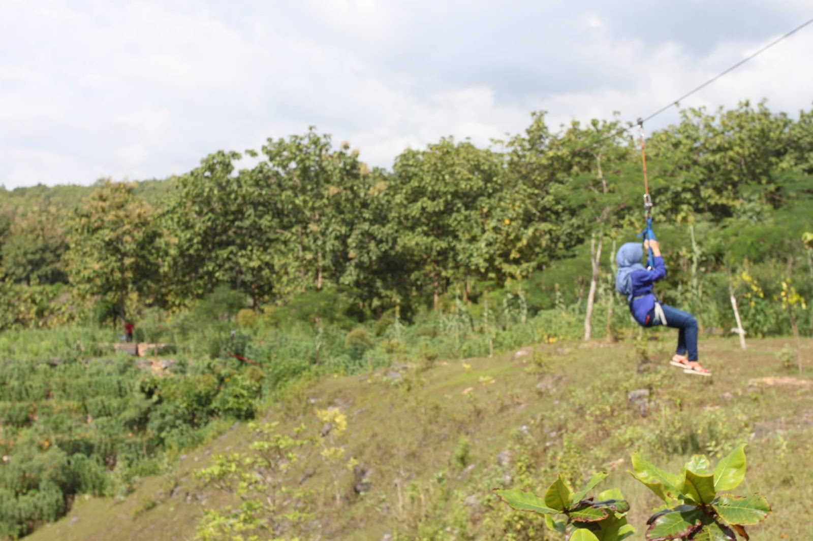 Ngingrong Geopark Lebah Karst Yang Indah di Gunung Kidul - Intanpari.com