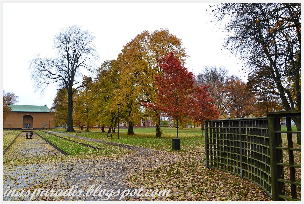 Inas paradis: Jesienne obrazki.....