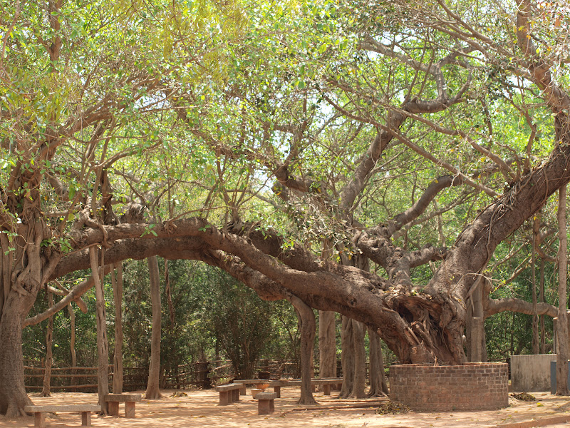 Reasons To Be Cheerful Part II: Pondicherry - Tamil Nadu