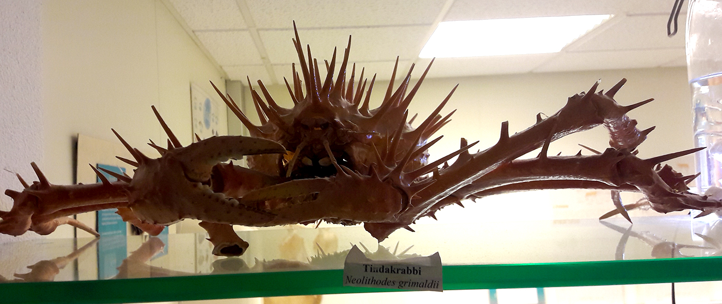 Dottirs and Son: Fishing. With lasers!