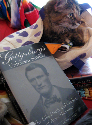 The Civil War of the United States: Amos Humiston, died in Battle of ...