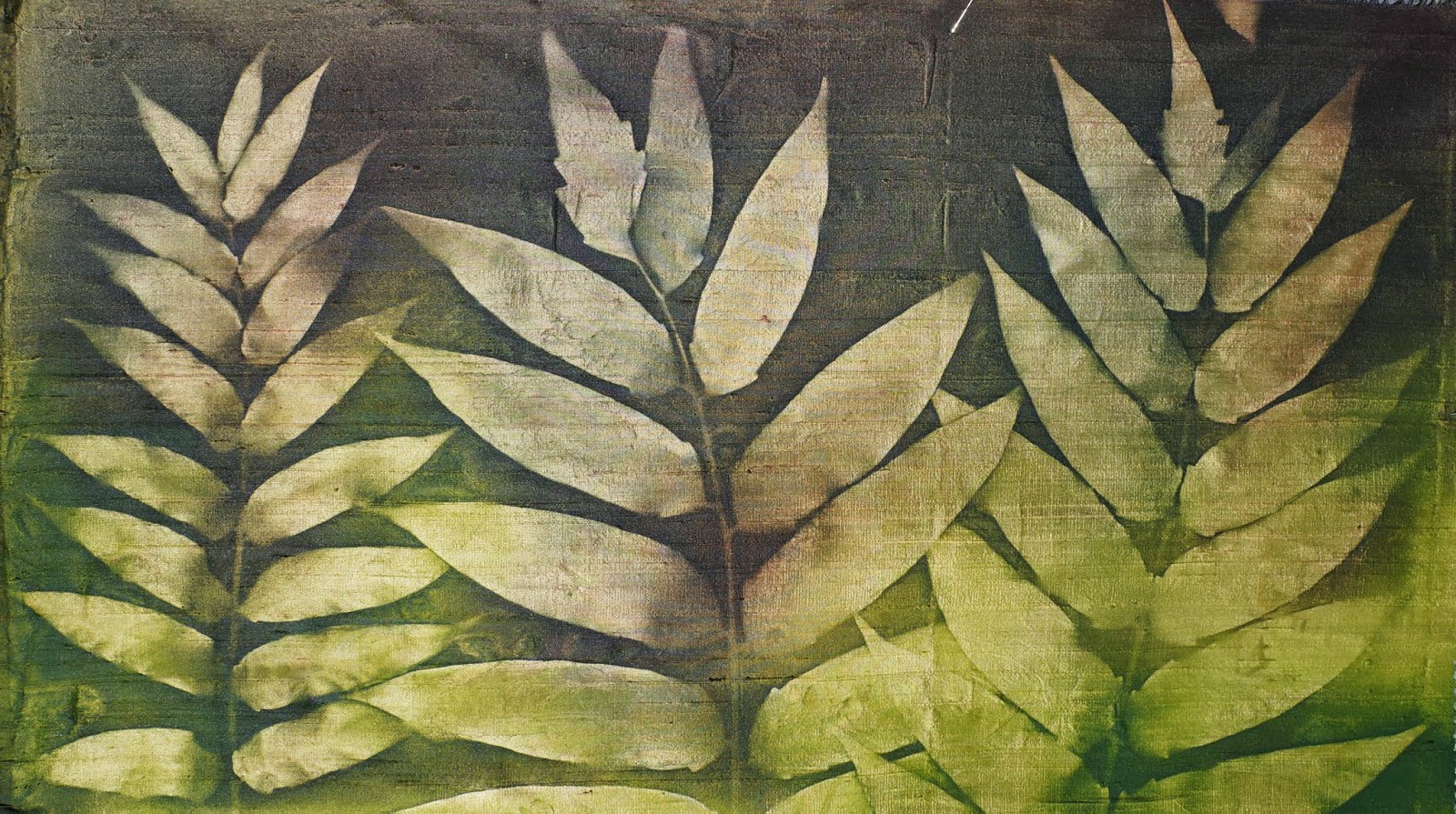 Ginger Wilson: Sun printing with leaves and branches