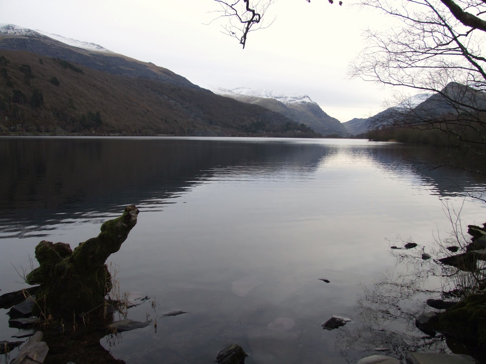 Baban Cat: Holidays in January