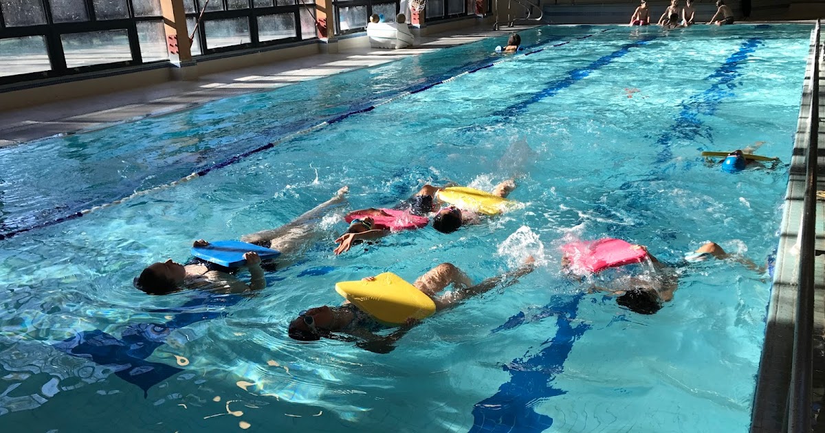 SEABURY NAVIGATORSArchives: How Do Fish (and People) Float? A ...