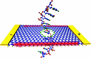 Simulation of ultrafast DNA graphene nanopore sequencing ...