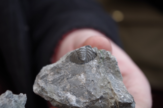 Environmental and Geographical Sciences, University of Northampton ...