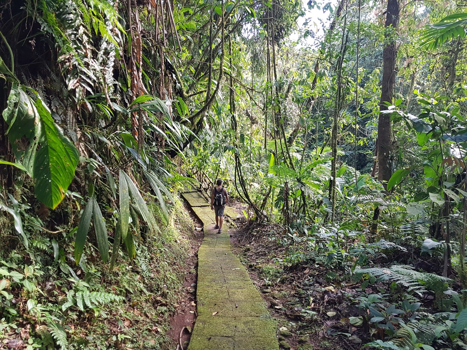Narrando Lo Inefable: LA GRAN RIQUEZA DE COSTA RICA