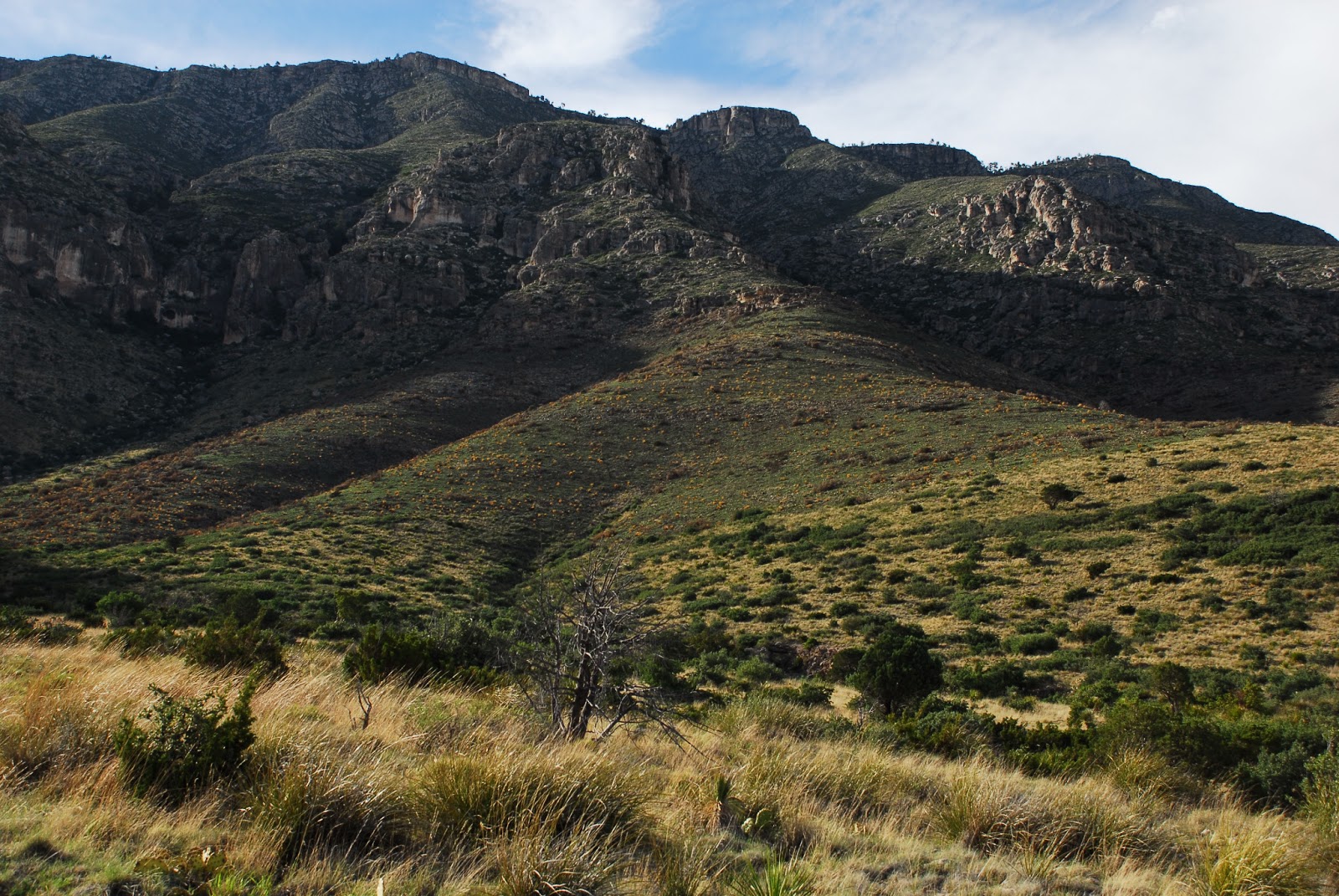 Texas Mountain Trail Daily Photo: 5 Adventure Treks to Historic Texas ...