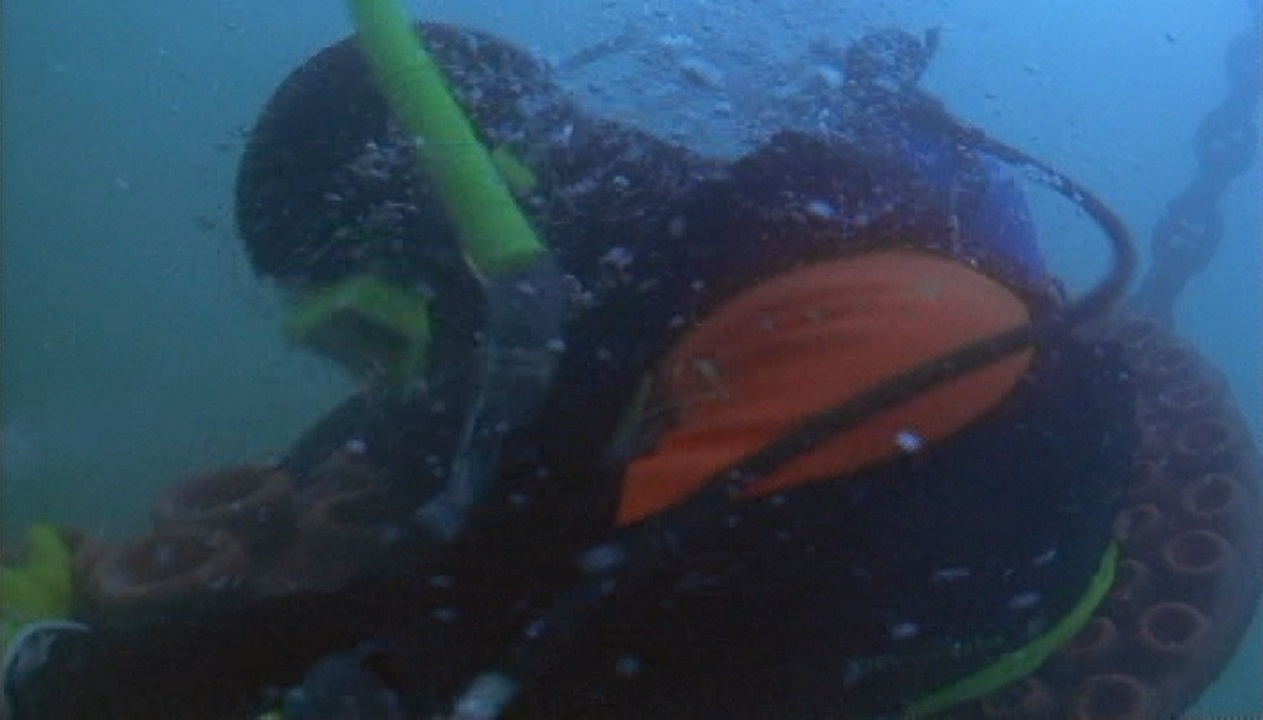 Peter Benchley Beast Squid