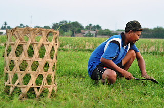 Ngarit ra Lek? - Paxdhe Mboxdhe