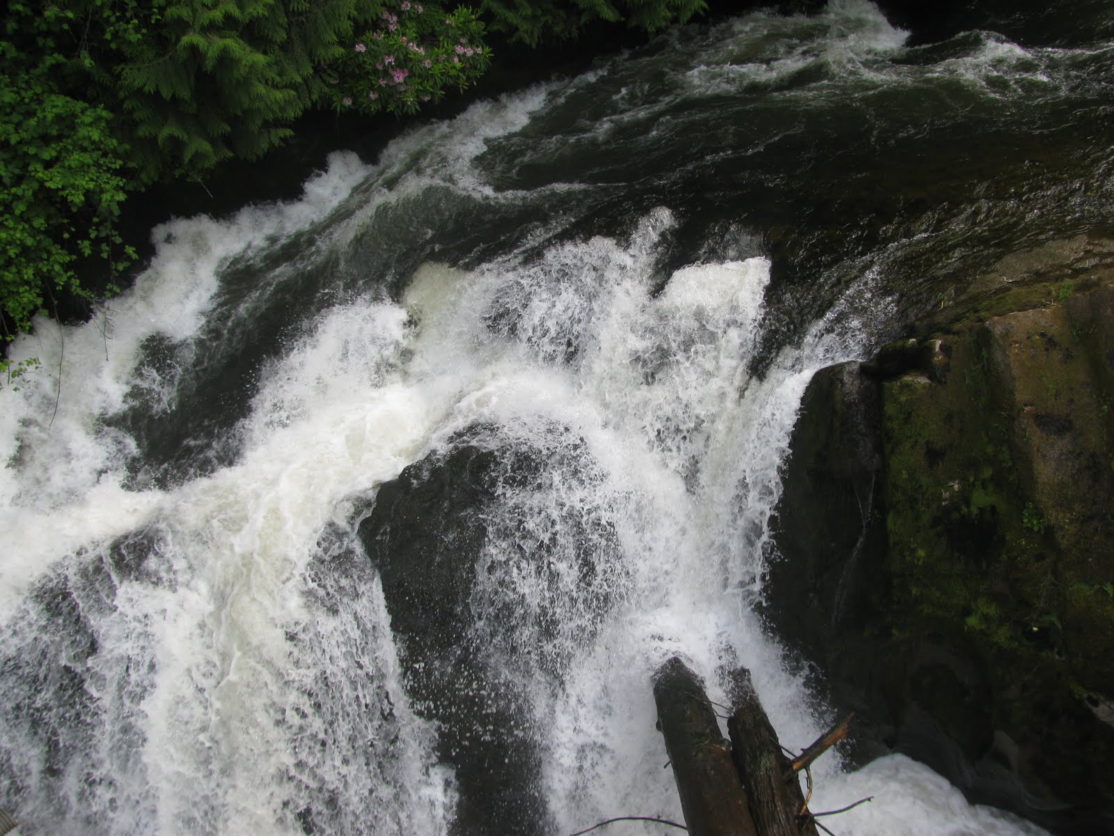 Beautiful Washington State: Tumwater Falls Park (Tumwater, WA)