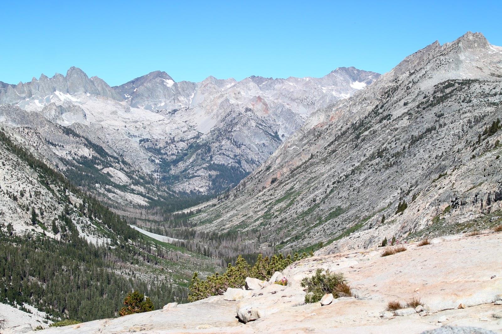 IN THESE WOODS: DAY 63: MUIR PASS
