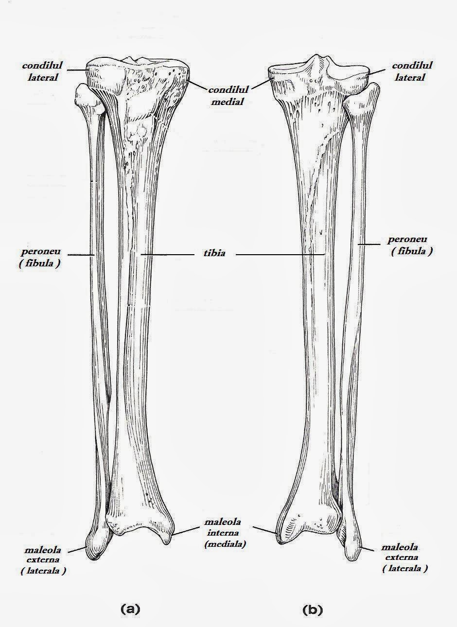 Angel Blue: ianuarie 2014