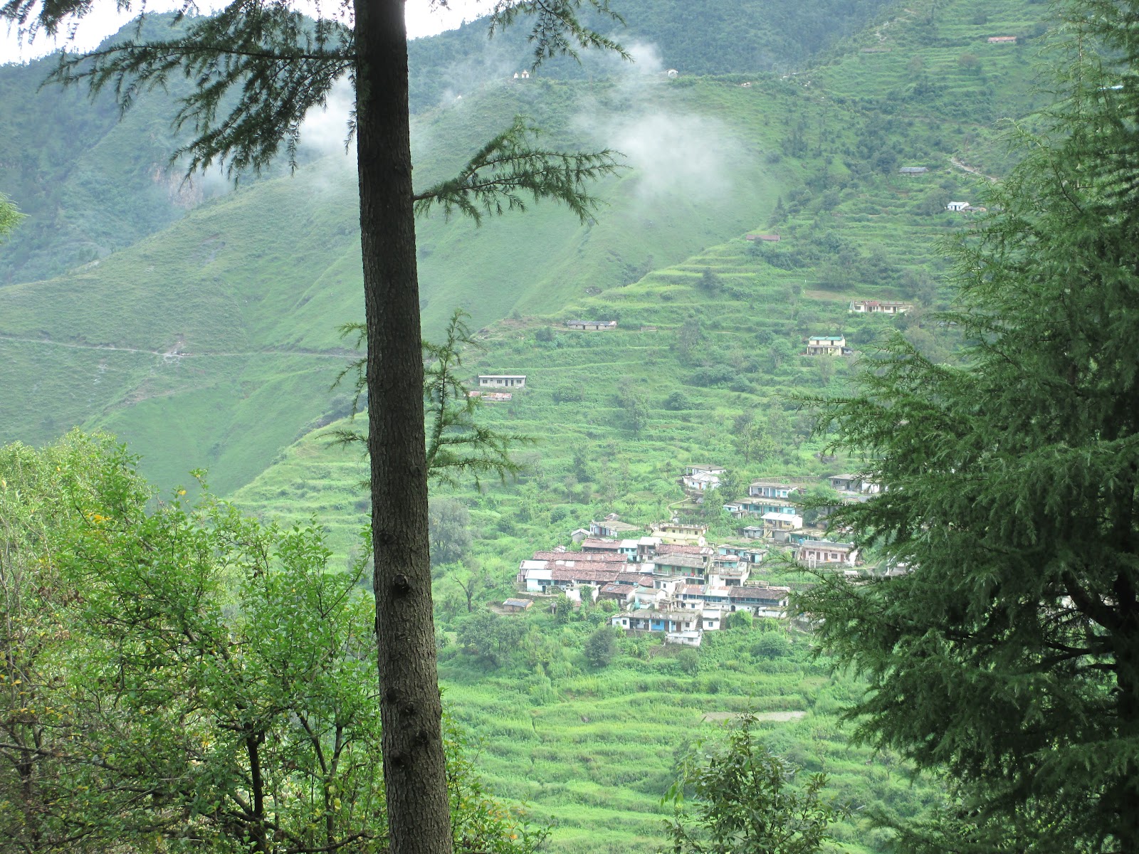 JULIndiA: kickin' it in Kimoi