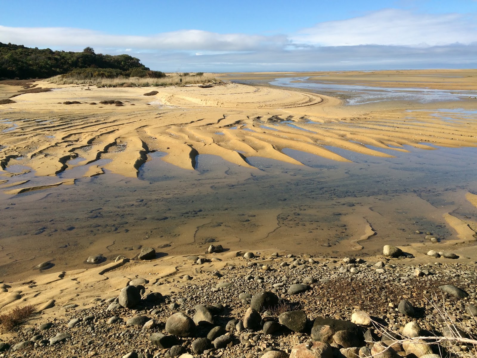 Explore and Discover Nature: Exploring Patterns in Nature - finding ...