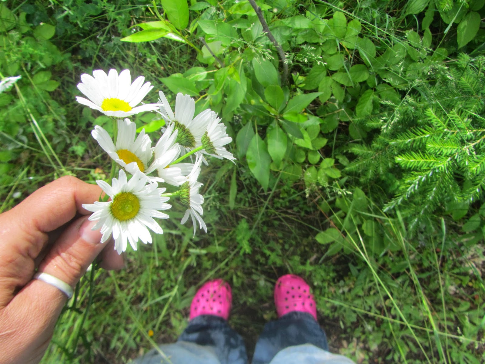 Jen & the Bean stalk: After the rain