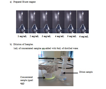 biochemistry: Practical 2 : Protein Experiment
