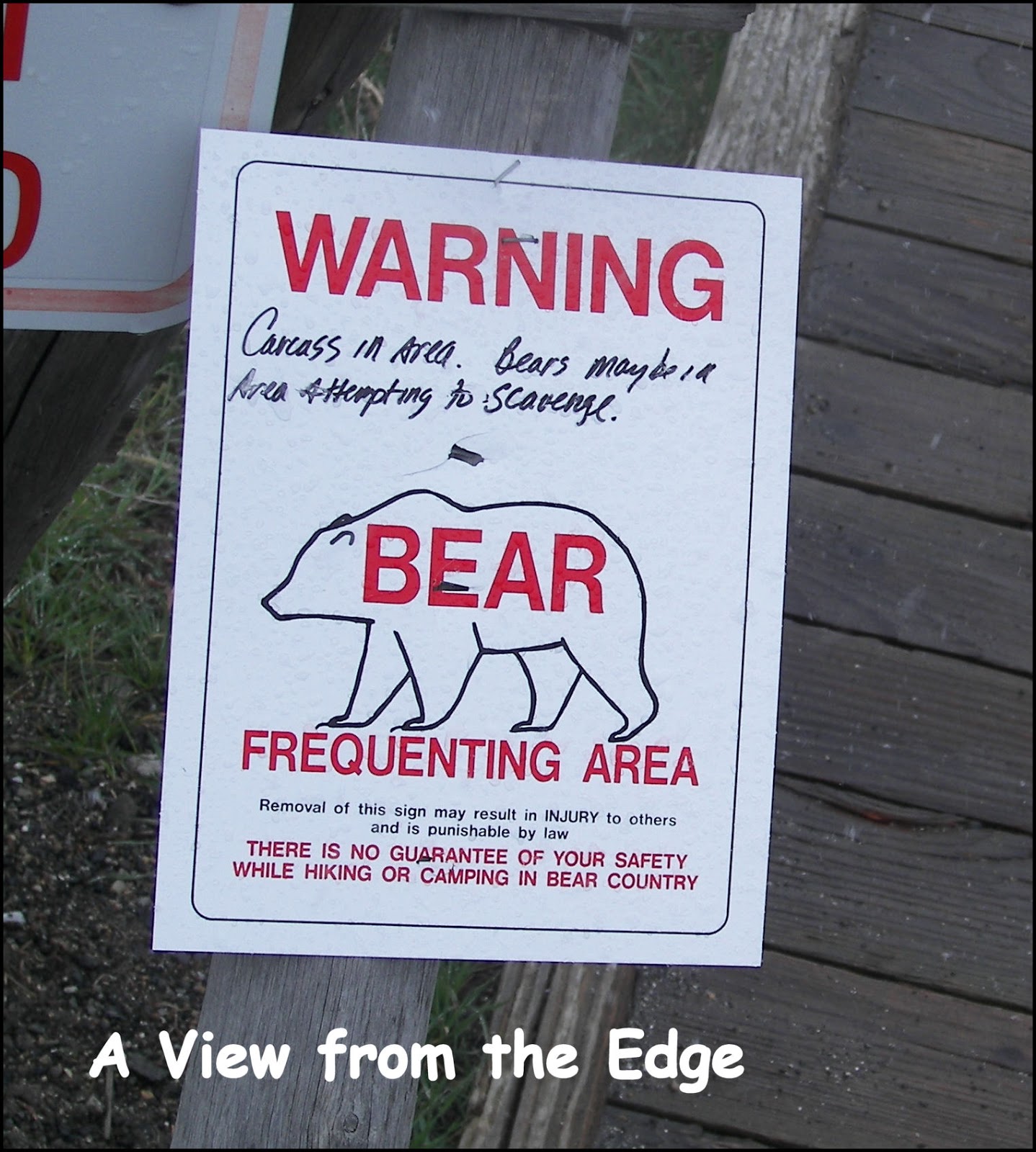 A View from the Edge: Signs - Beware of Bear!