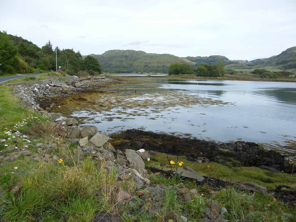 Turn Left at Bognor Pier: Walk 263 -- Kilmelford to A Bheinn