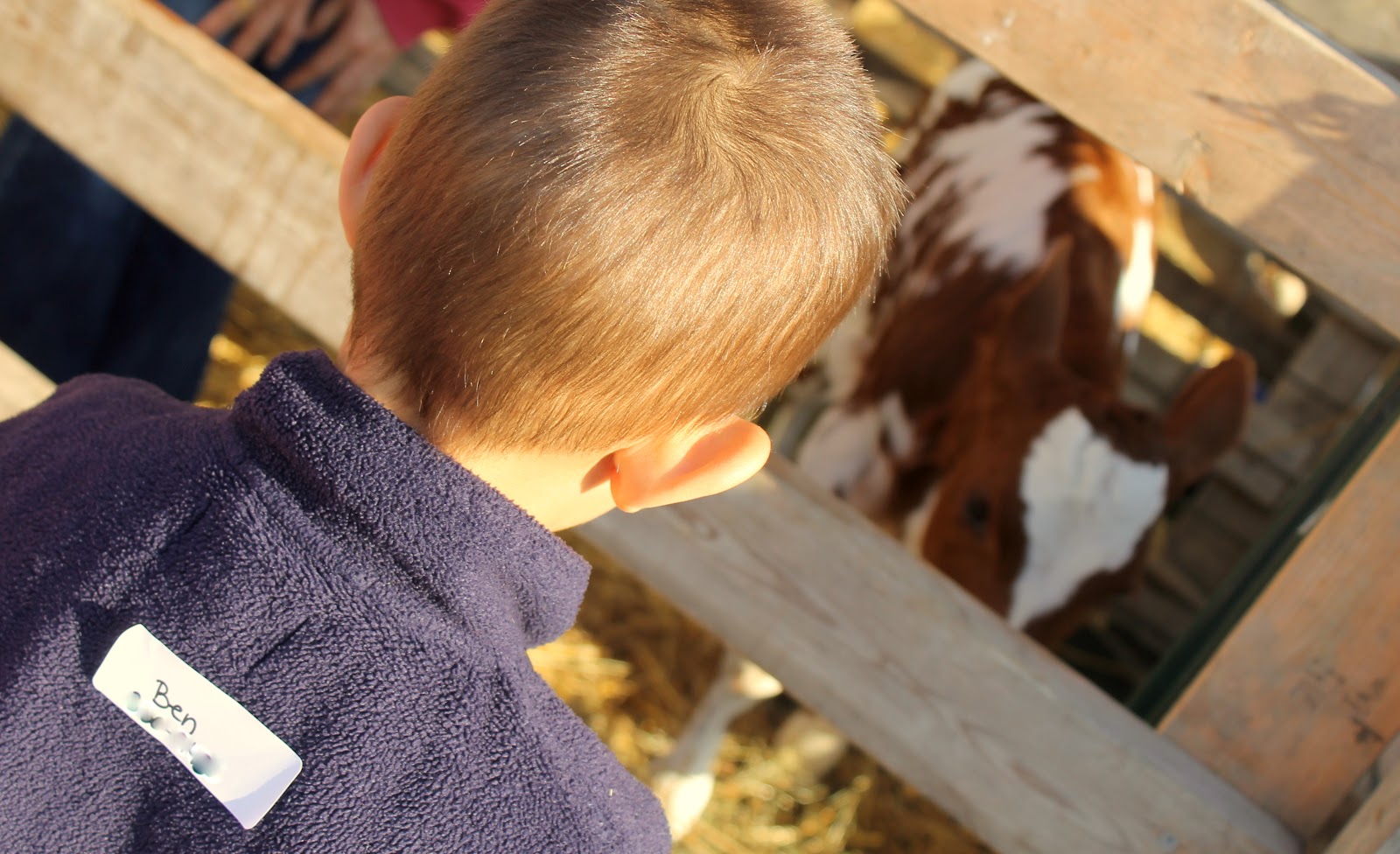 Arrows Sent Forth: Hackman's Farm Market