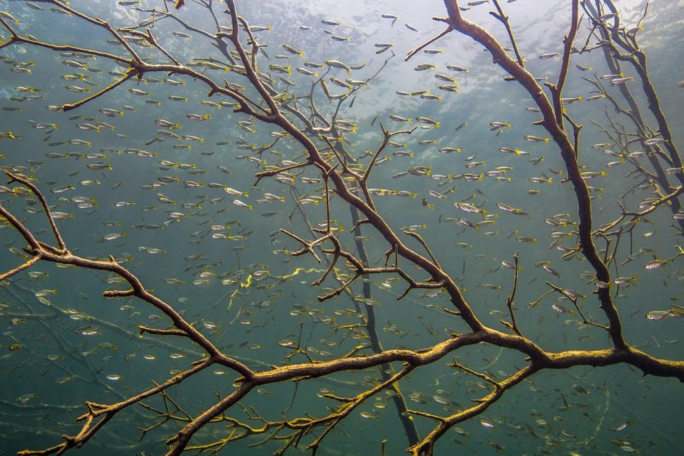 bensozia: Drought and Faith among the Maya