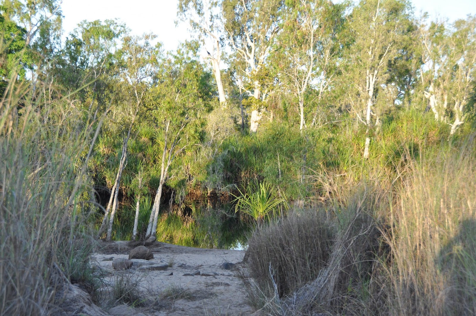 BarbaraTVan: BARBARA'S KIMBERLEY ADVENTURE - WALCOTT INLET TO GIBB ...