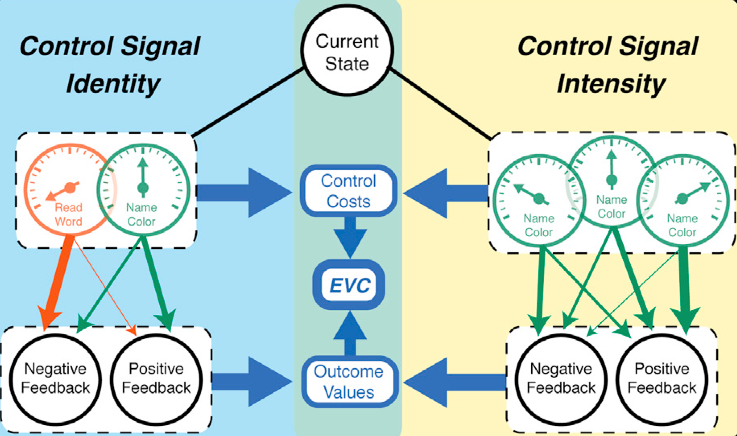 Andy's Brain Blog: Comprehensive Computational Model of ACC: Expected ...