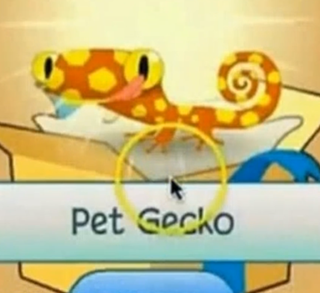 Animal Jam Graphic Central!: RIM + Pet Geckos?!?! + Everything that ...