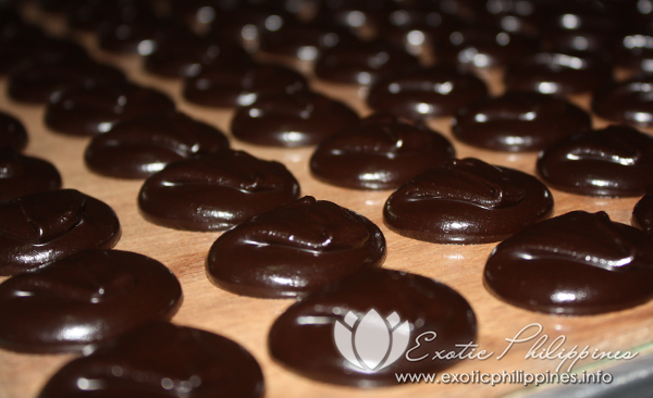 Argao's Guilang Tableya - Chocolate from 100% Pure Cacao Beans