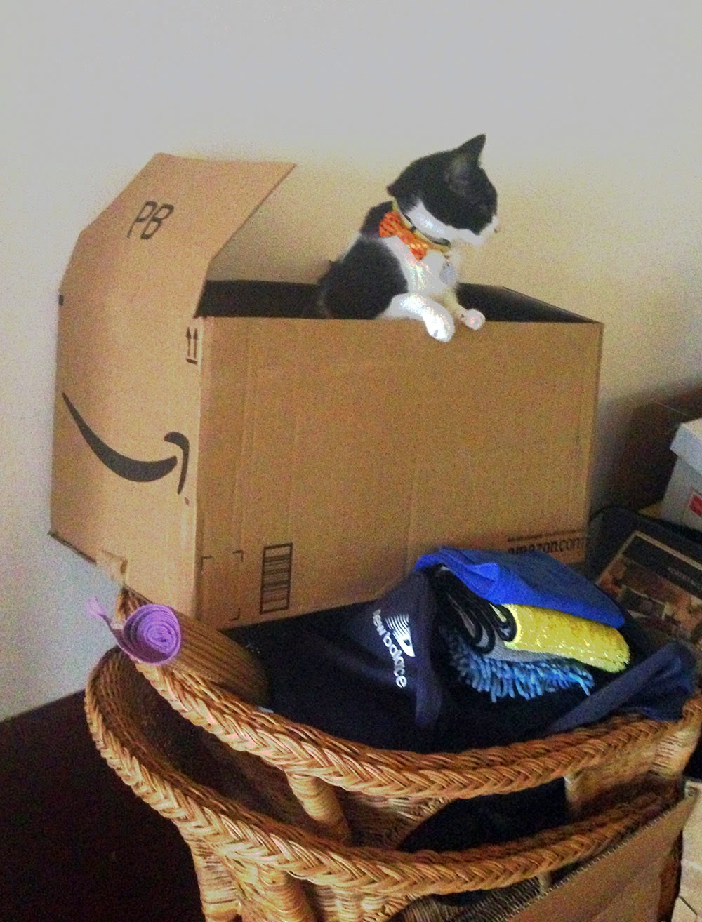 Your Daily Cute: What Being a Cat Mom Means to Me #proudcatmom