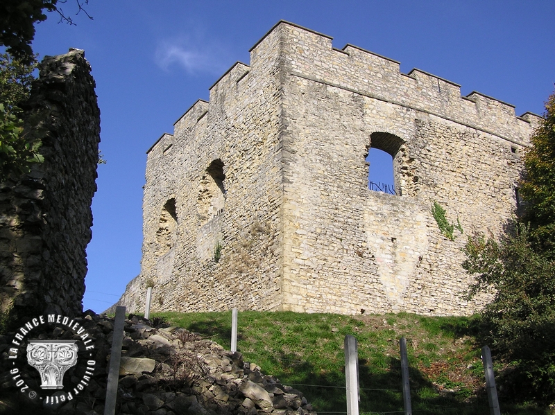 LA FRANCE MEDIEVALE: SAINT-QUENTIN-FALLAVIER (38) - Le château de Fallavier