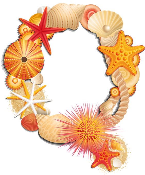 Escuela infantil castillo de Blanca: ALFABETO CON CONCHAS