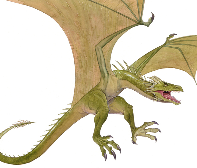 Graham Howells Illustrator