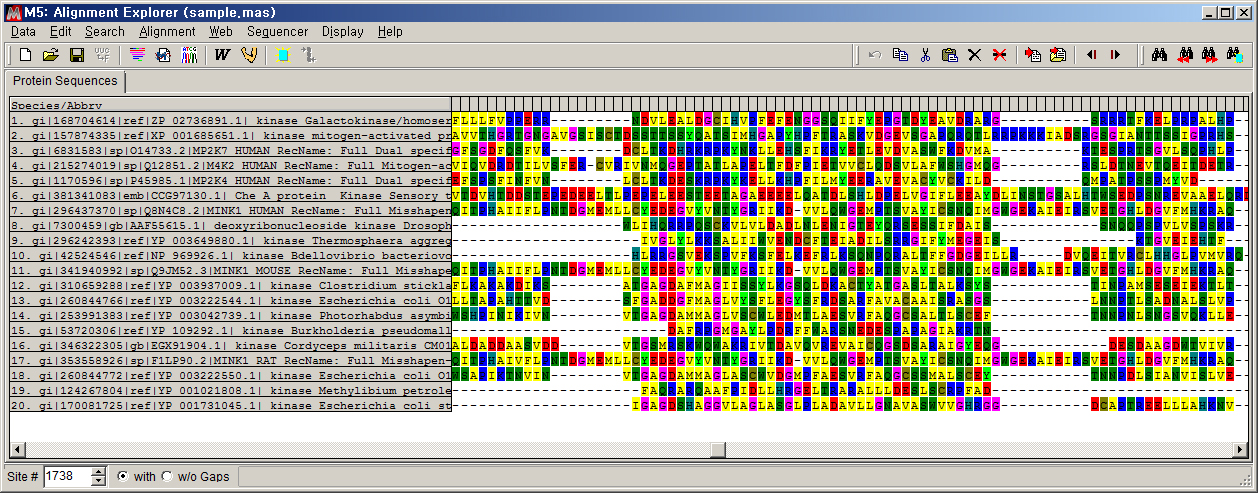 Lee Gir Won: MEGA5 Usage