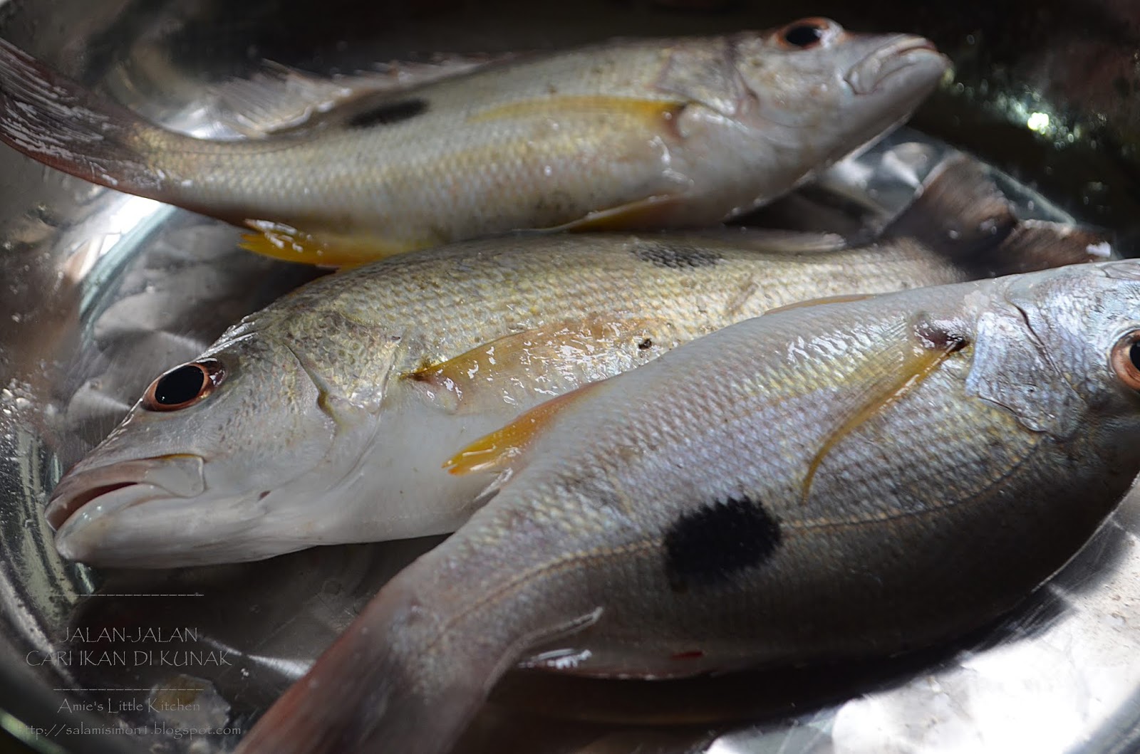 Jalan-Jalan Cari Ikan di Kunak - Amie's Little Kitchen