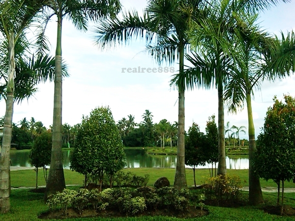 DAVAO HOMES 888: LOFT TYPE OF DECA HOMES RESORT RESIDENCES - Davao City.