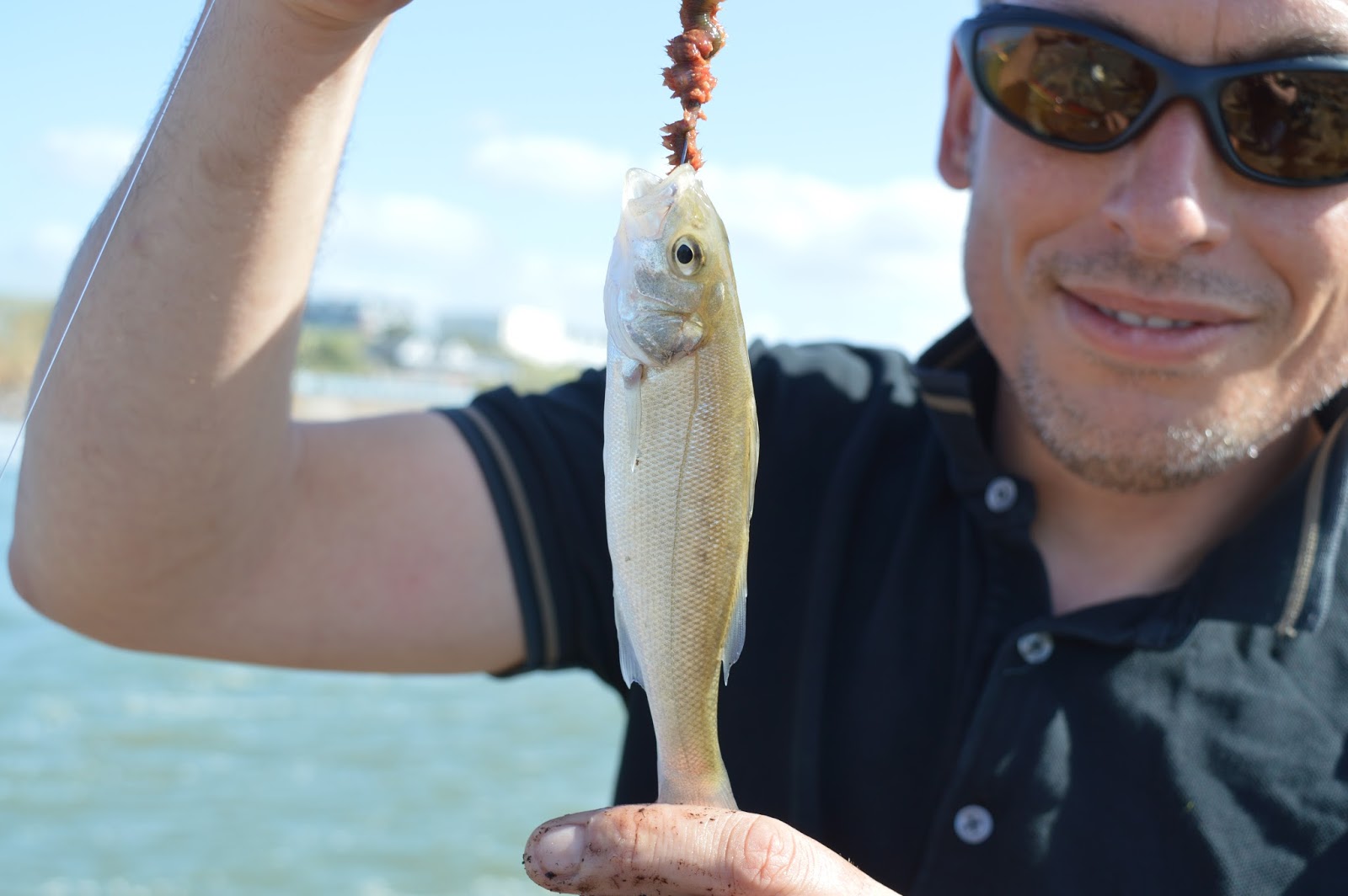 Fish Hooked: Bass Fishing Bude Breakwater