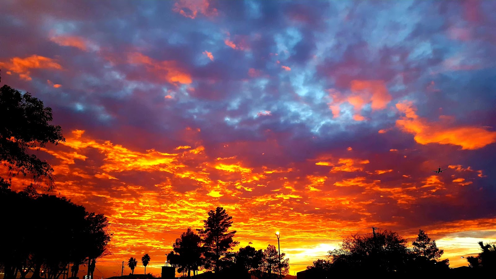 Jade Mangus Photography and Visual Art