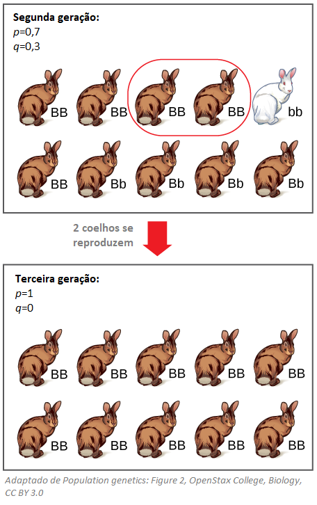 O que é a deriva genética? - Saber Atualizado