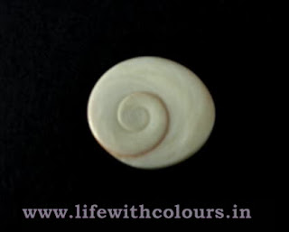 Crystals and Gemstones: Benefits of Gomti Chakra, Nag Chakra,Sudarshan ...