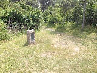 Hike Cape Cod: Pilgrim Springs - Small's Swamp Trails, Truro MA