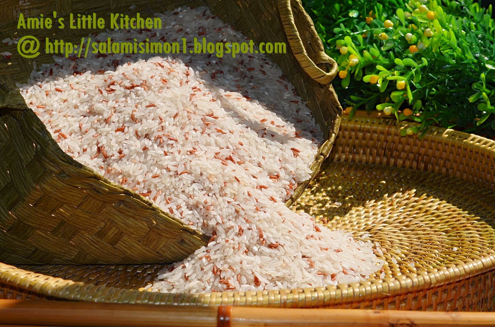 Ikan Sardin Masak Lemak Cili Padi & Nasi Beras Wangi Keladi - Amie's ...