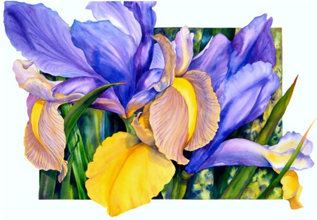 Коллекция картинок: Sally Robertson, акварель